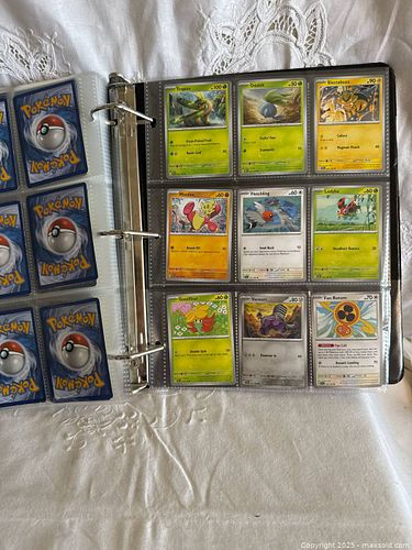 Pokemon Card Collection in Binder - 320 Cards Included | Toronto ...
