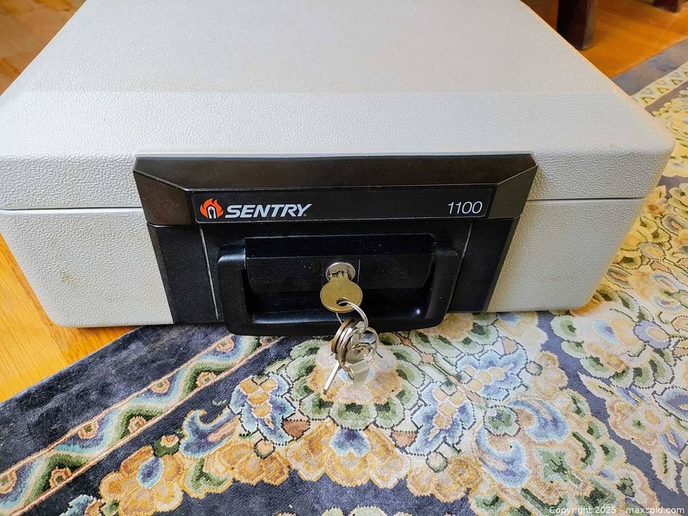 Hamilton floor safe & SentrySafe 1100 | Maxsold