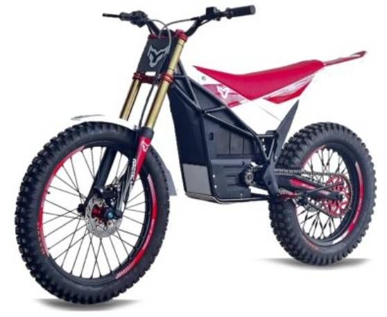 Arctic Leopard E·AT 560 electric trials motorcycle | Maxsold