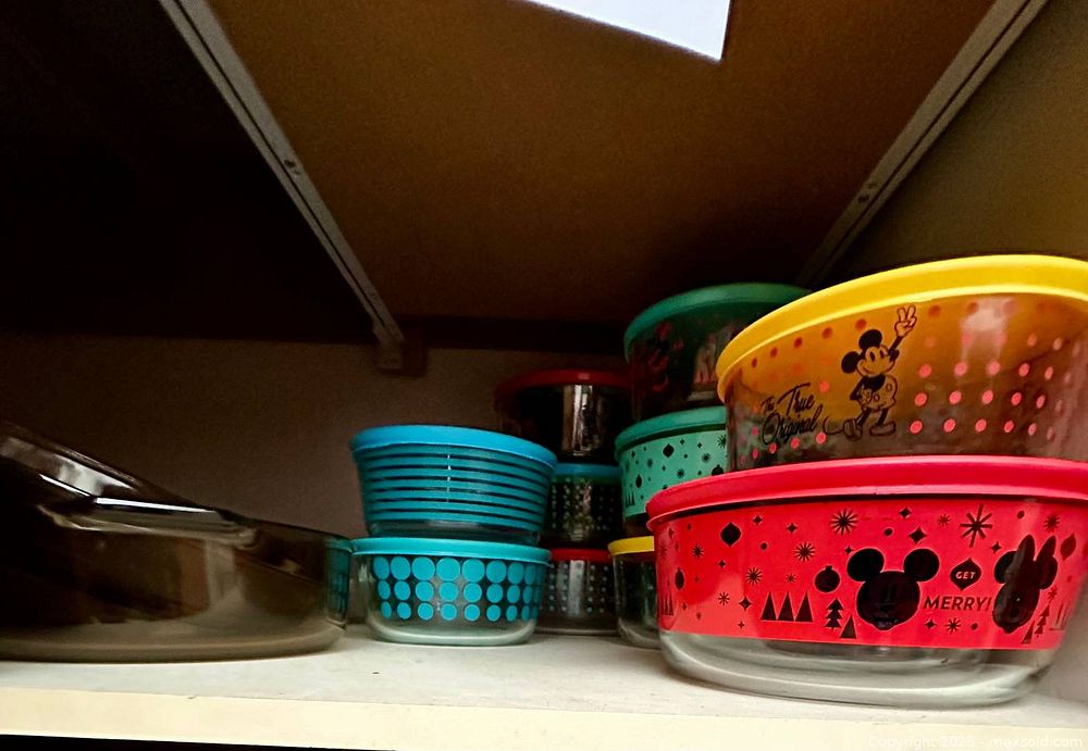 Kitchen storage containers with lids incl Disney bowls | Maxsold