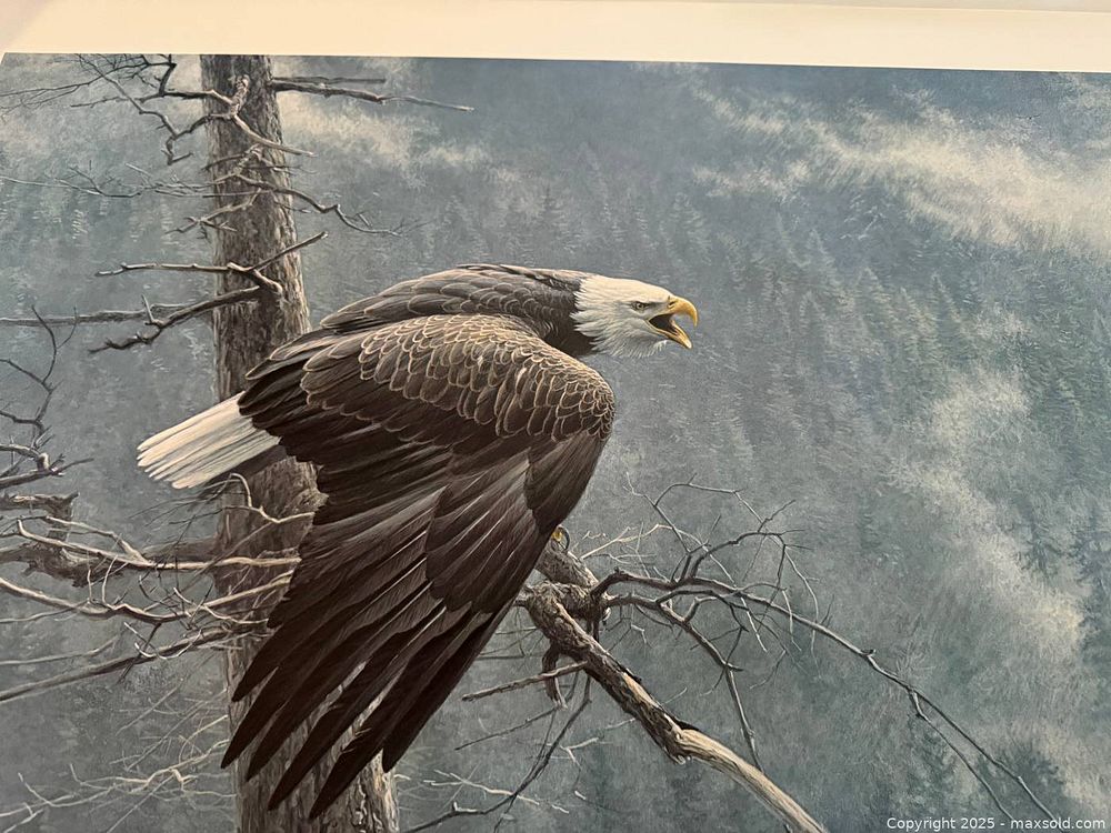 Robert Bateman signed numbered bald eagle print | Maxsold