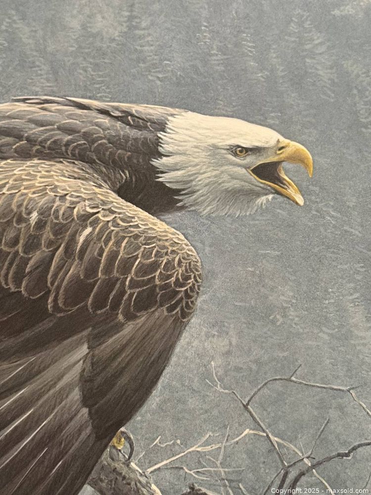 Robert Bateman signed numbered bald eagle print | Maxsold