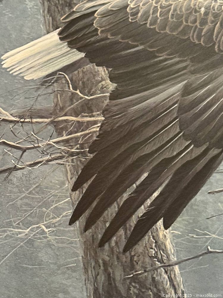 Robert Bateman signed numbered bald eagle print | Maxsold