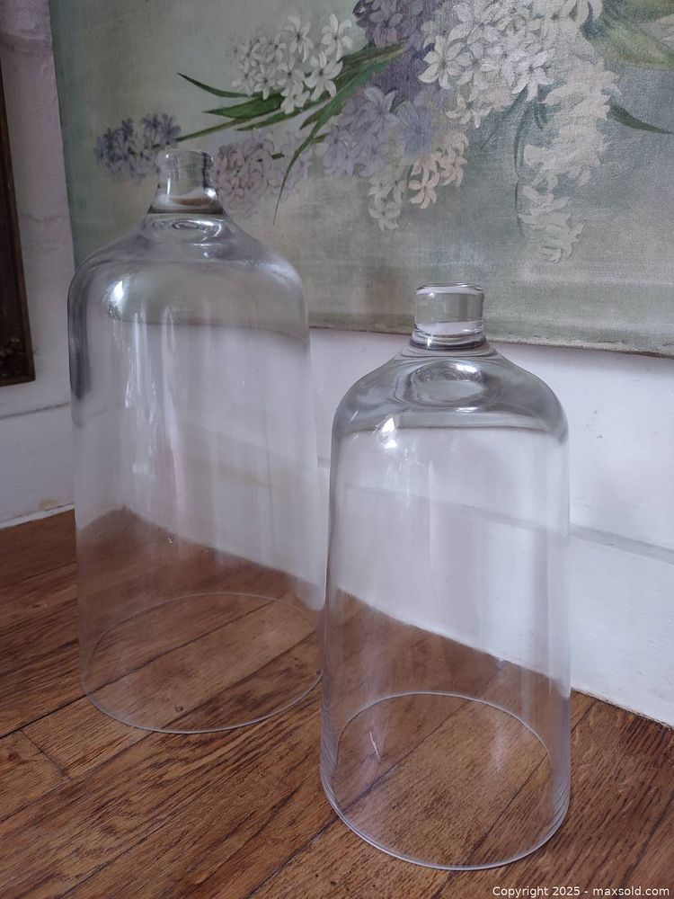 Set of two clear glass cloches | Maxsold