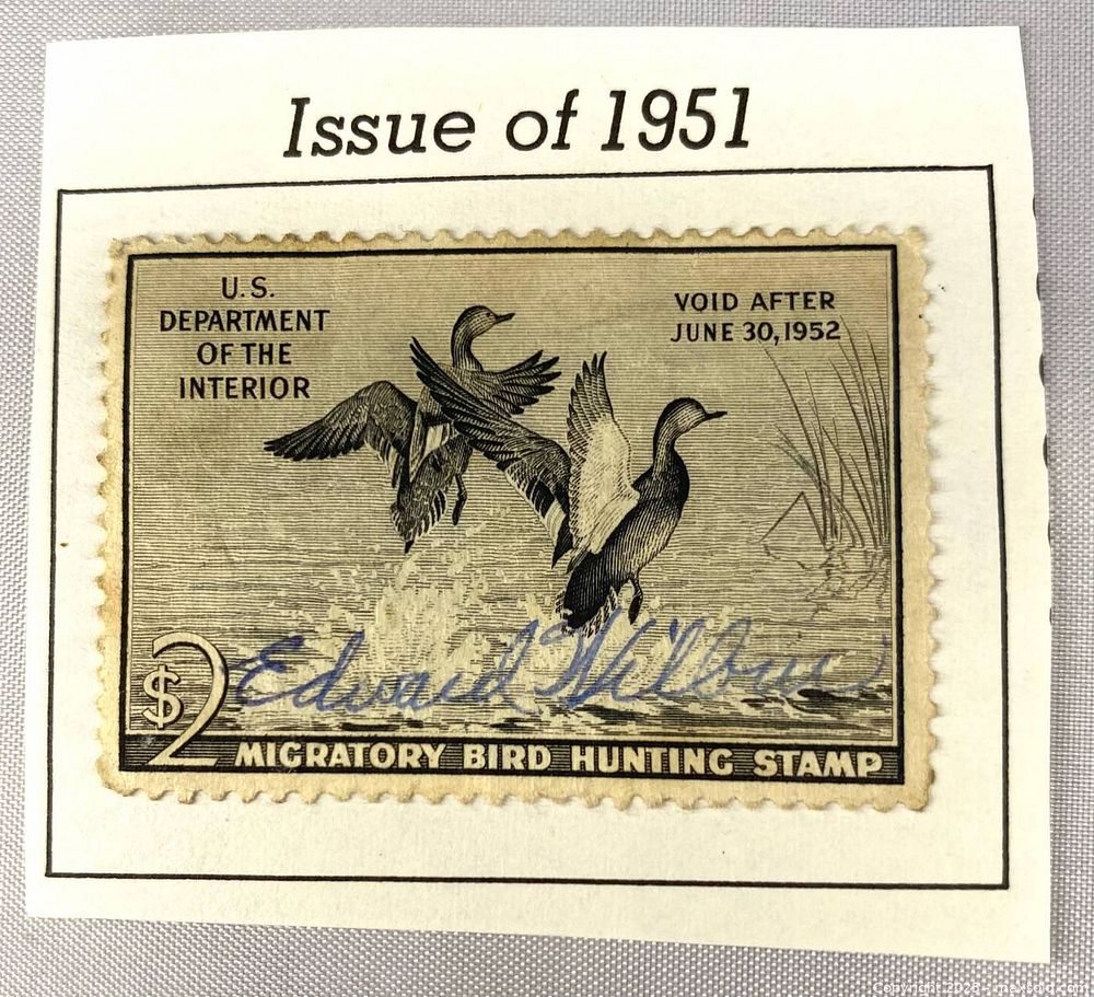 1951 Federal Duck Hunting Permit Stamp | Maxsold