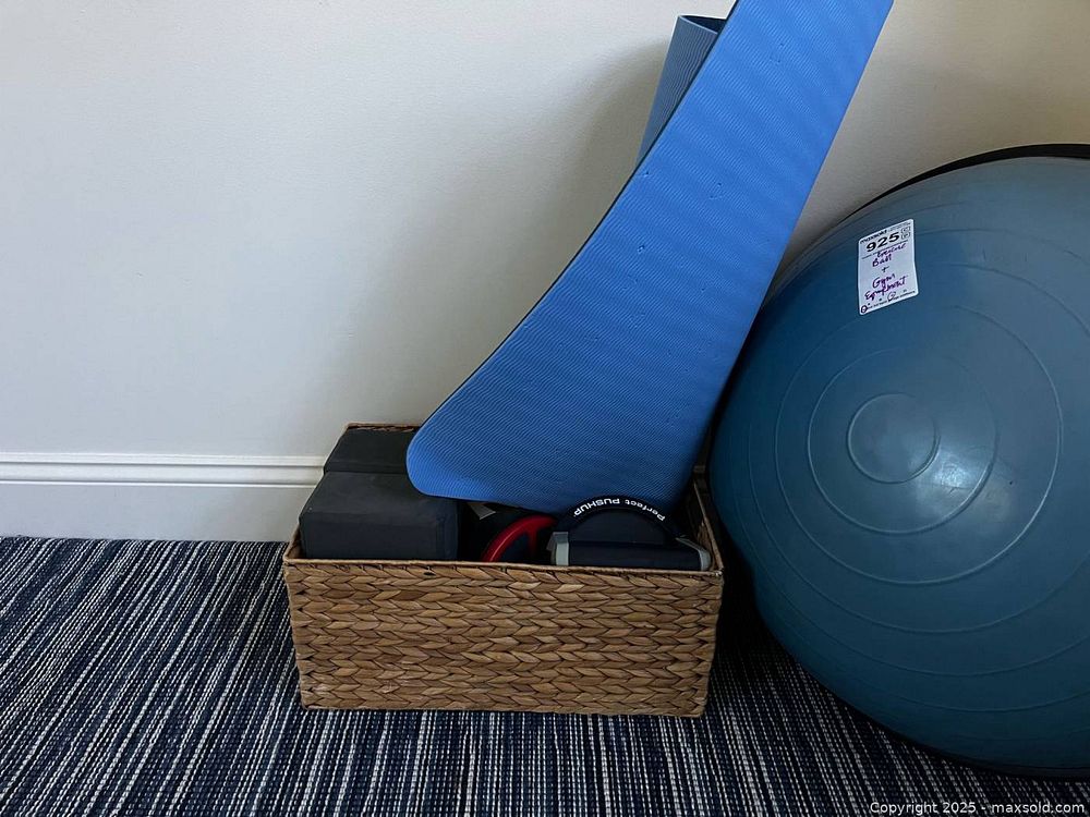Fitness Equipment Lot: Yoga Mat, Exercise Ball, Push-up Handles & More ...