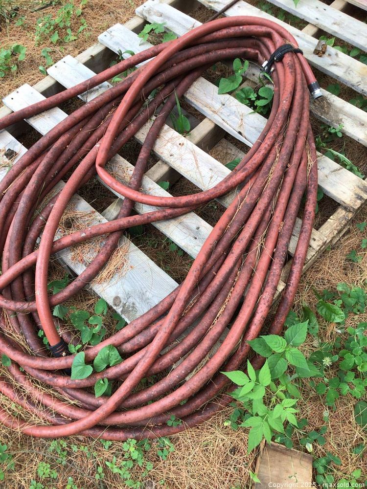 Commercial professional 3/4 inch garden watering hose. 100 foot ...