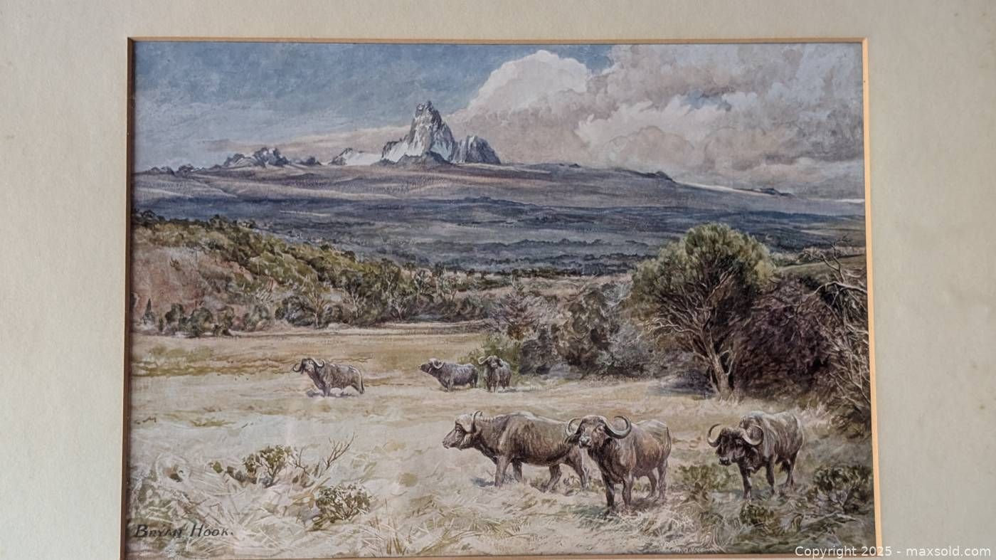 Watercolour by Bryan Hook - Buffalo (untitled) | Elgin (Ontario, Canada ...