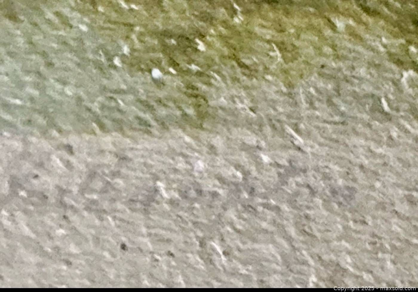 Vintage Fox Hunting Print Stanley Baker & Pytchley Hounds | Maxsold