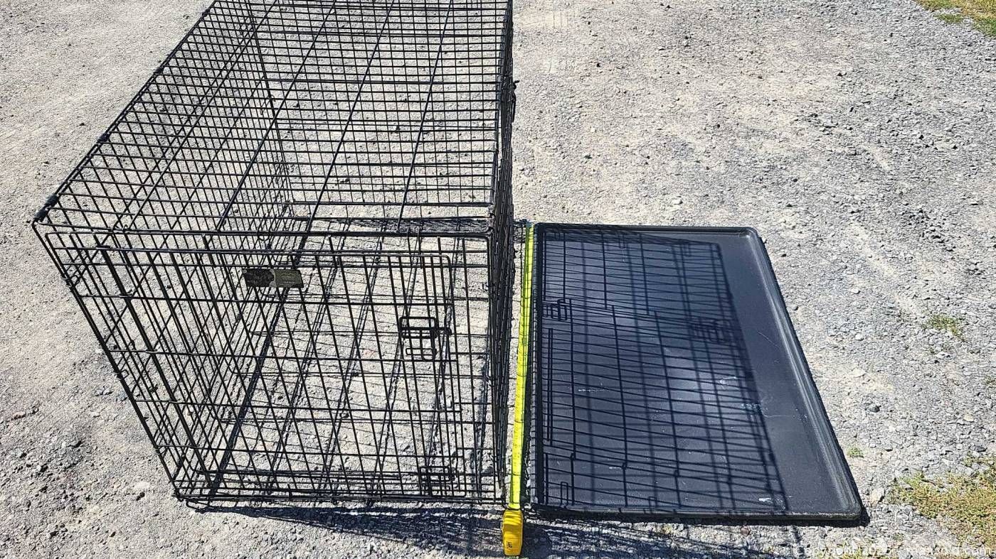 MidWest 42" iCrate double-door folding wire dog crate | Maxsold