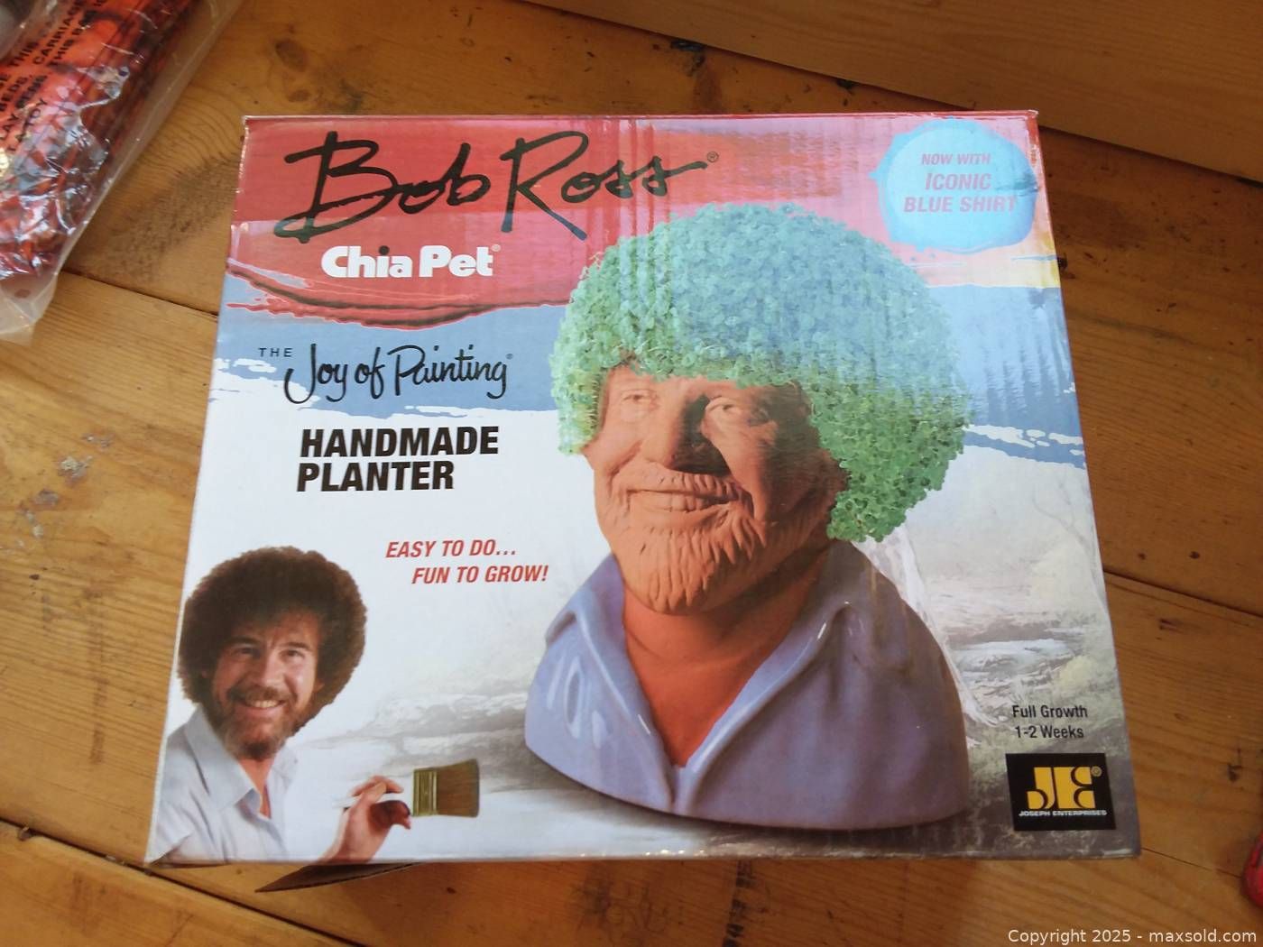 Bob Ross Chia Pet Handmade Planter | Maxsold
