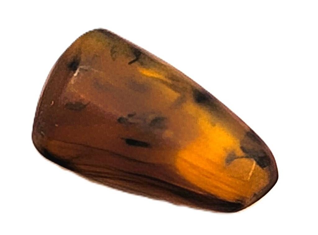 Cretaceous Burmese Amber With Insect Inclusion | Maxsold