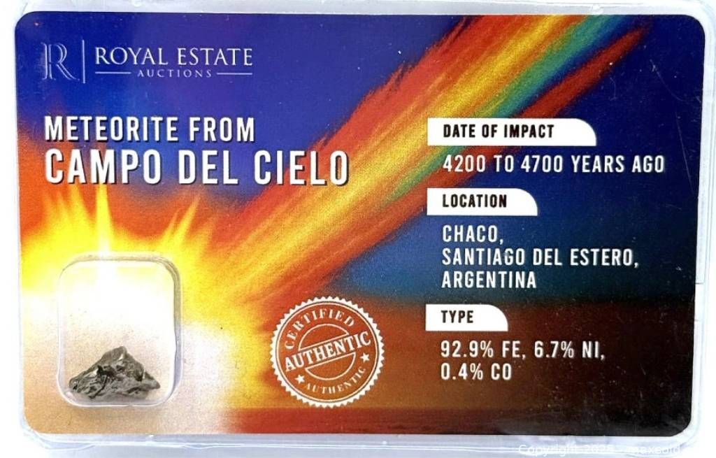 Small Campo Del Cielo meteorite fragment with certificate card | Maxsold
