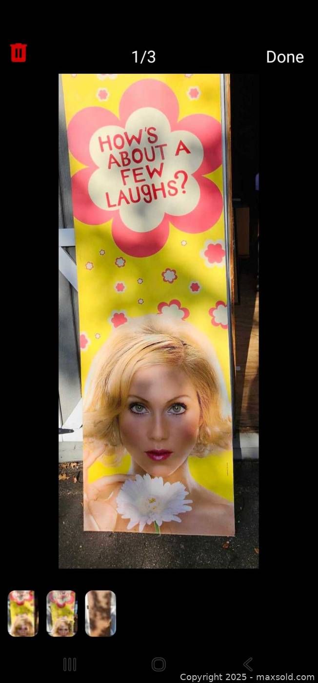 Christina Applegate “Sweet Chariot” advertising board 67×21 in | Maxsold