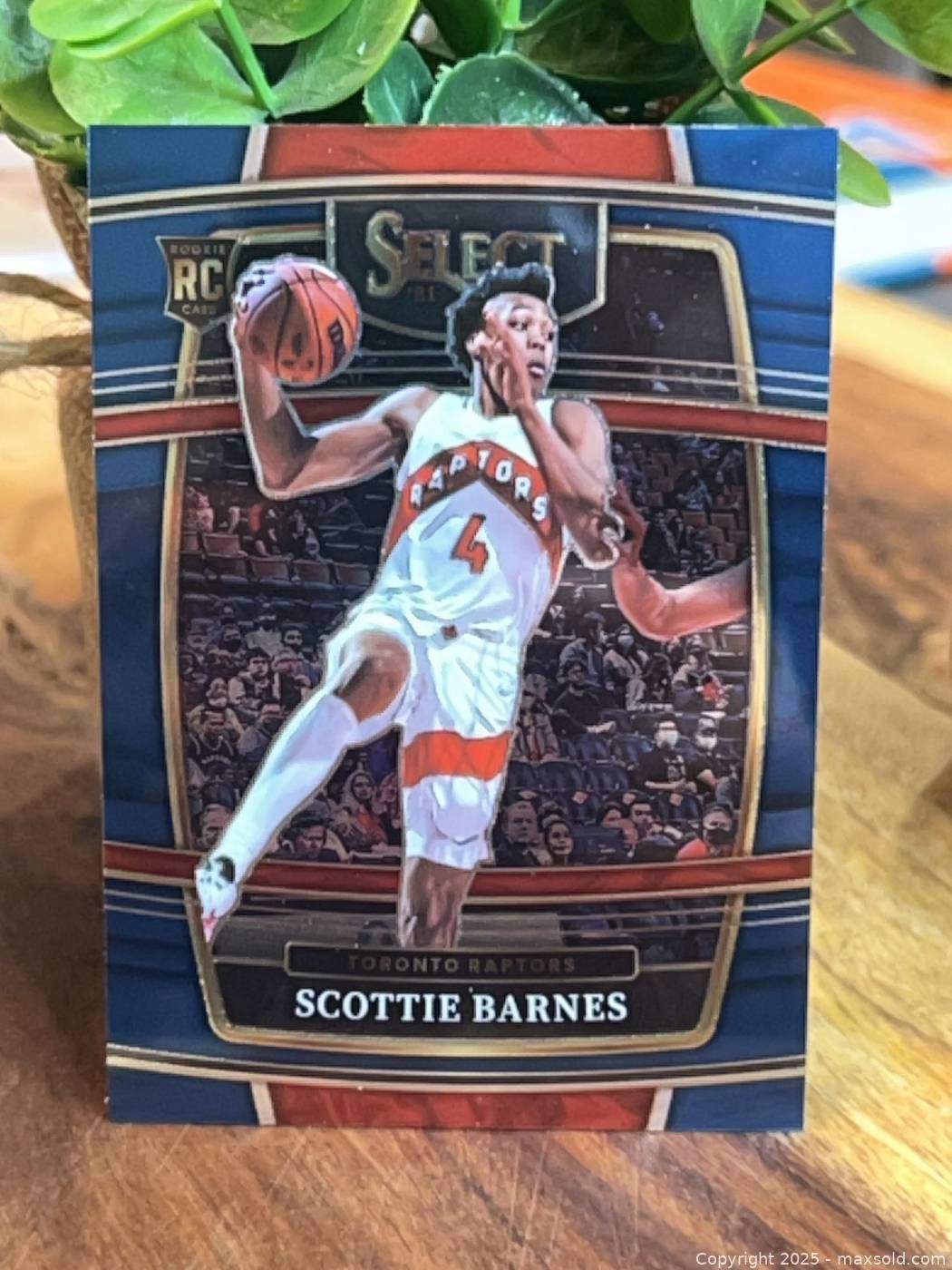 Scottie Barnes Panini Select Concourse rookie card | Maxsold