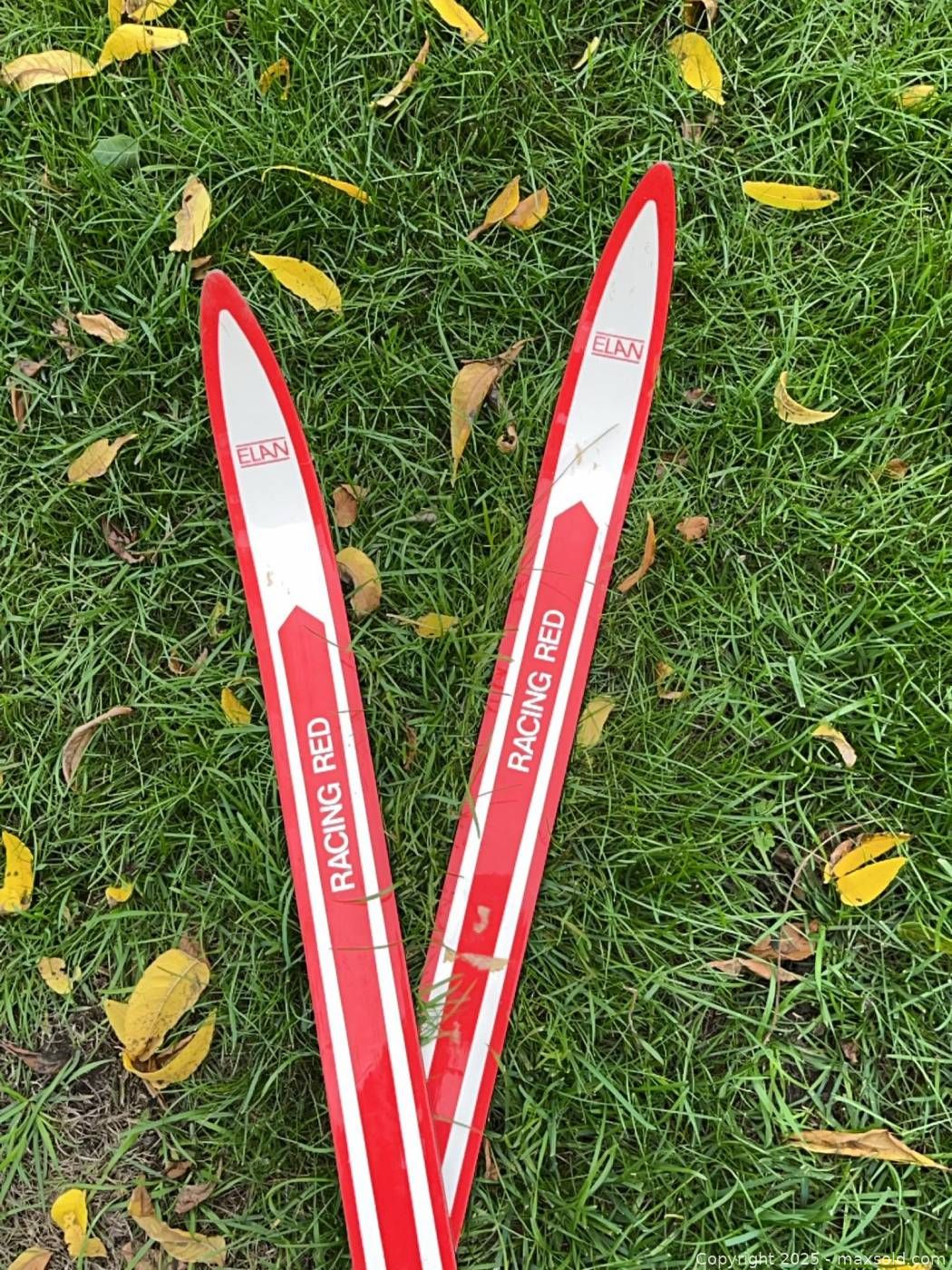 Vintage fiberglass cross-country skis | Maxsold