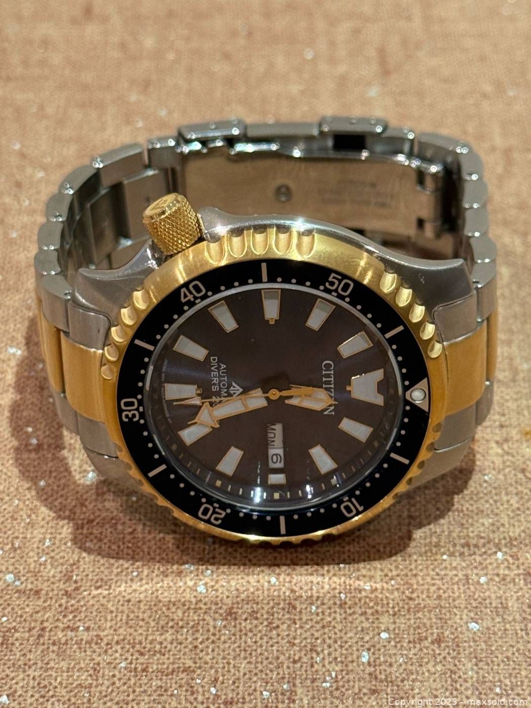 Citizen Promaster Automatic Diver Day Date Watch | Maxsold