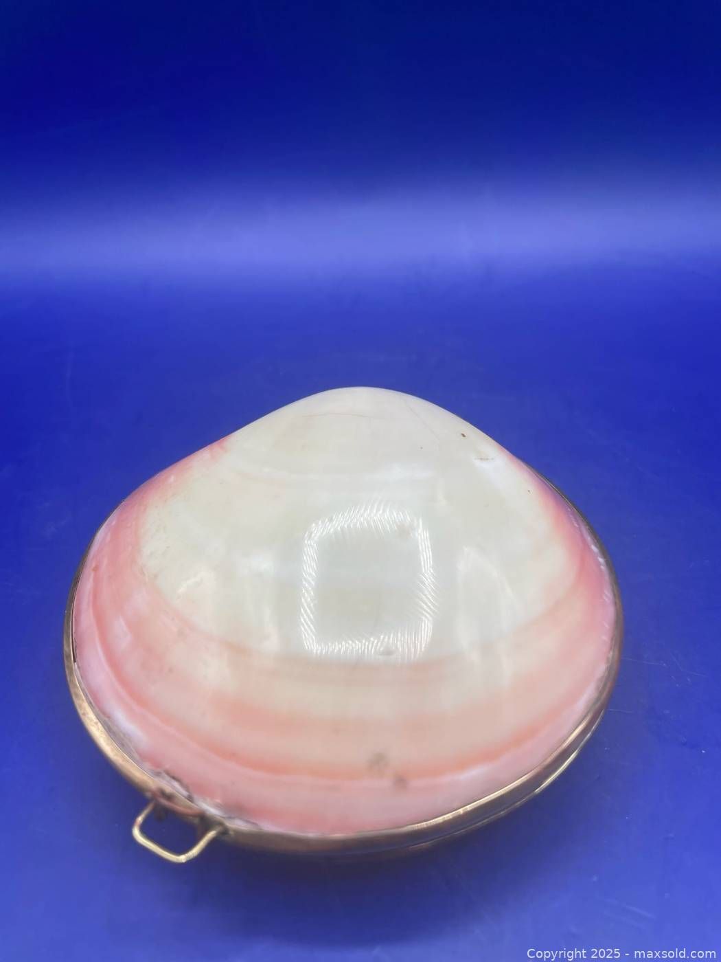Natural Seashell Trinket Box with Brass Hinged Latch | Ottawa (Ontario ...