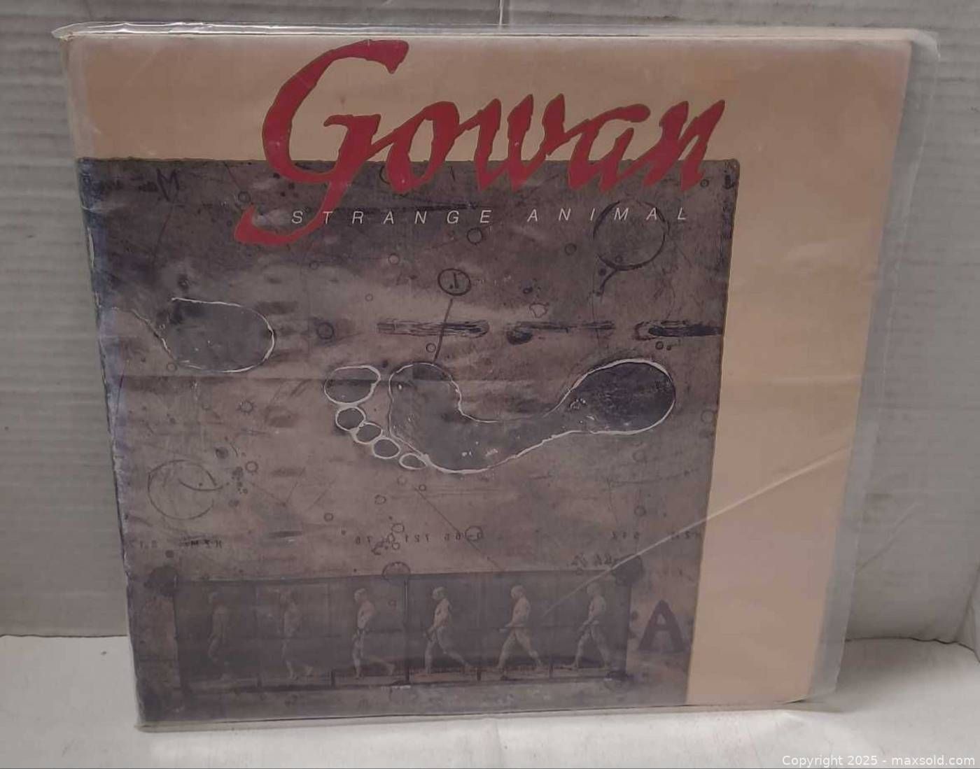 GOWAN lot Strange Animal LP Record Album & Jacket | Toronto (Ontario ...