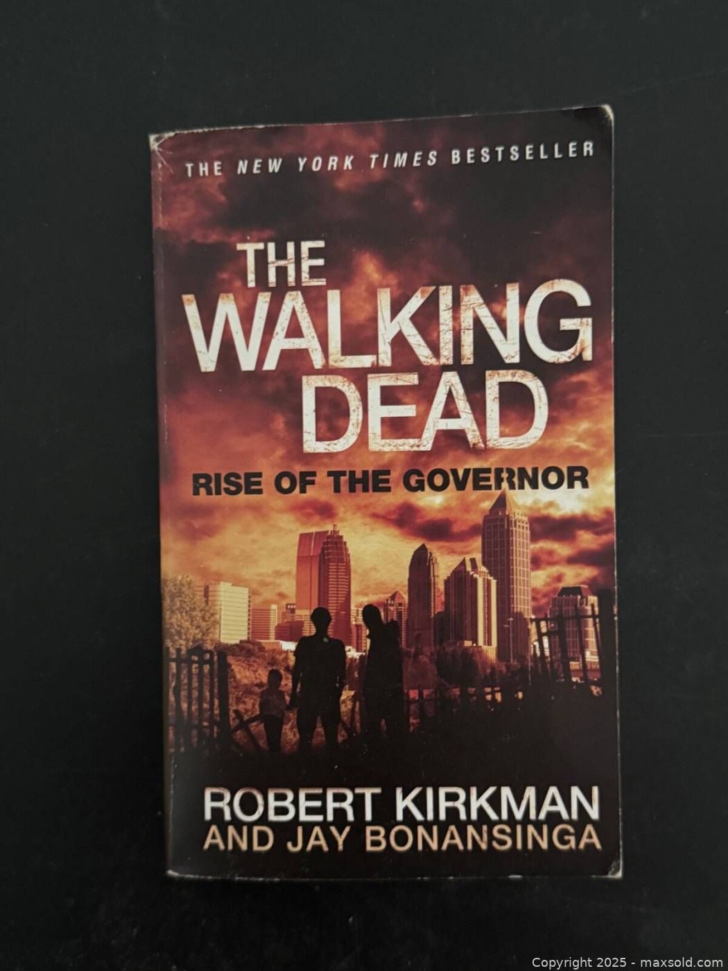 The Walking Dead: Rise of the Governor paperback novel | Maxsold