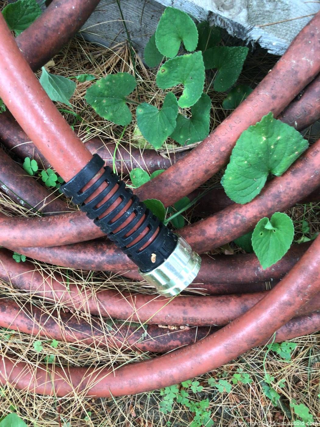 Commercial professional 3/4 inch garden watering hose. 100 foot ...