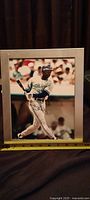 Devon White autographed framed photograph | Maxsold