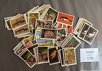 1969 Dandy Gum H Series Wildlife Cards, 170 | Maxsold