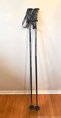 Atomic Bionic Ski Poles 48" | Maxsold