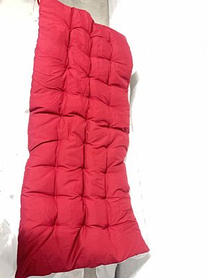 Red padded roll-up sleeping mat | Maxsold