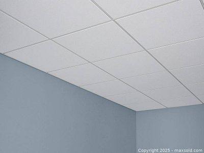 20 boxes of USG Mars acoustical ceiling panels | Maxsold