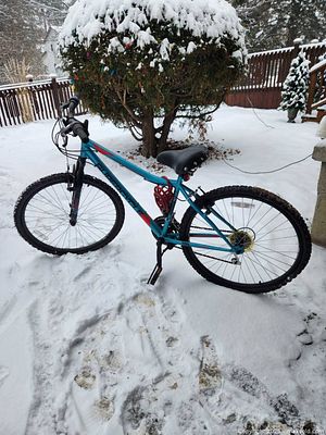 Supercycle Nitro ladies mountain bike | Maxsold