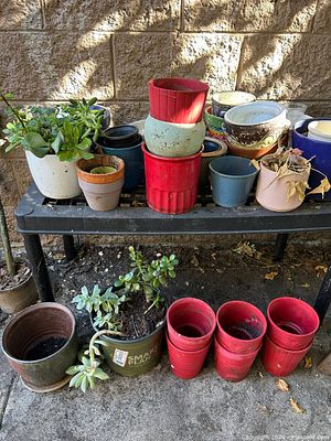 Assorted Plant Pots With Succulent Plants | Maxsold