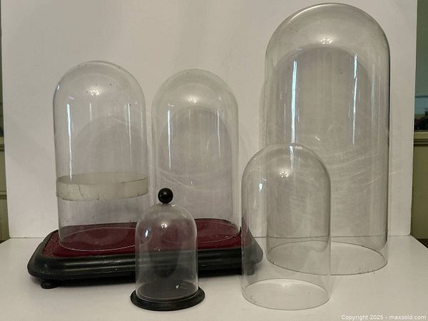 Glass clock domes and velvet base | Maxsold