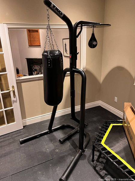 Technical Knockout TKO Dual Station Heavy Bag And Speed Bag | Maxsold