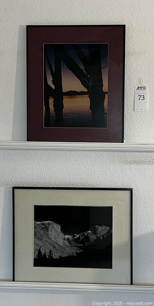 Framed nature photographs | Maxsold