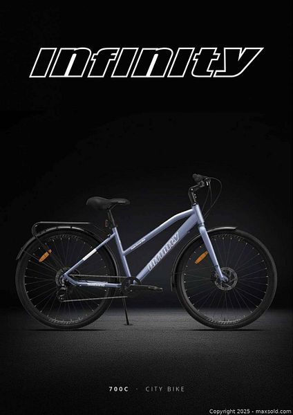 Infinity Boss Three Disc 21-Speed Hybrid Bike | Maxsold