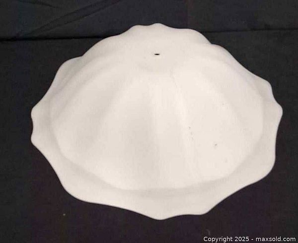 Large frosted glass ceiling light shade | Maxsold