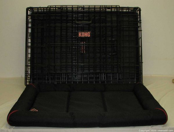 KONG dog crate with crate mat | Maxsold