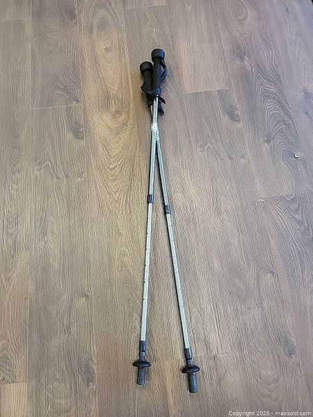Set of 2 Woods adjustable walking poles | Maxsold