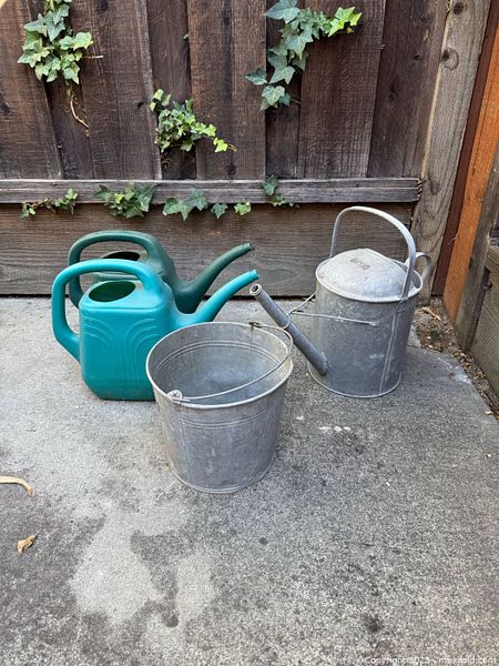 Plastic and galvanized watering cans with bucket | Maxsold