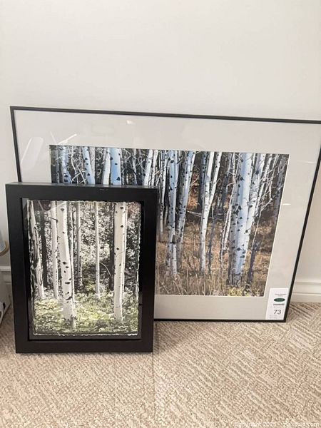 Two framed aspen birch forest art prints | Maxsold