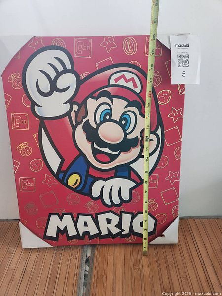 Super Mario 16" x 20" canvas print | Maxsold