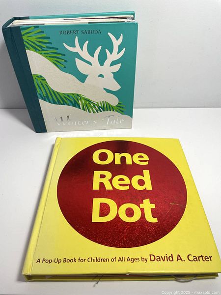 Robert Sabuda Winter’s Tale & David A. Carter One Red Dot pop-up books ...