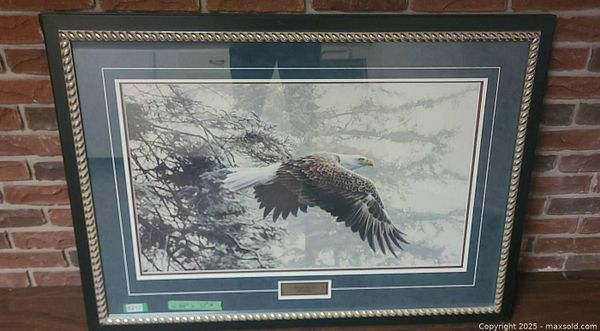 Framed bald eagle print in wood frame | Maxsold