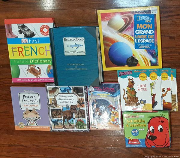 Assorted French children’s books 25 pcs | Maxsold