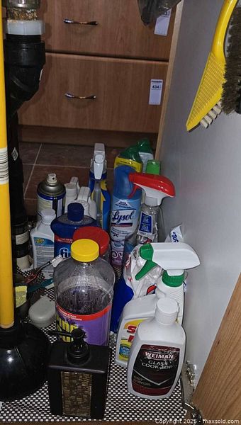 Cleaning supplies with small step trash can | Maxsold