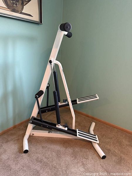 FlexStep step exercise machine | Maxsold