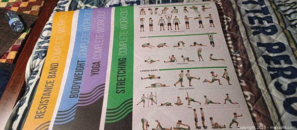 Set of 4 exercise instruction posters | Maxsold