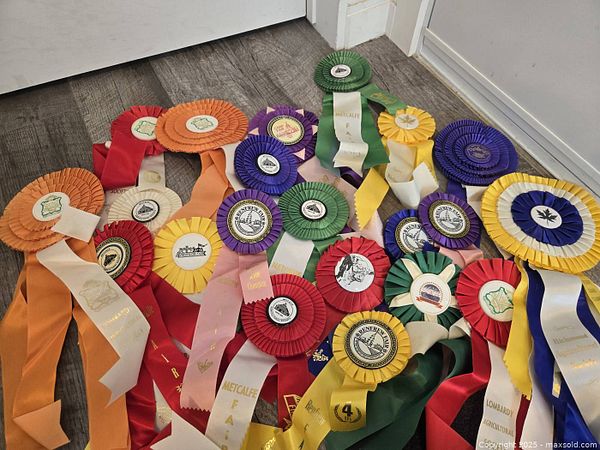 Vintage Ottawa-area county fair award ribbons | Maxsold