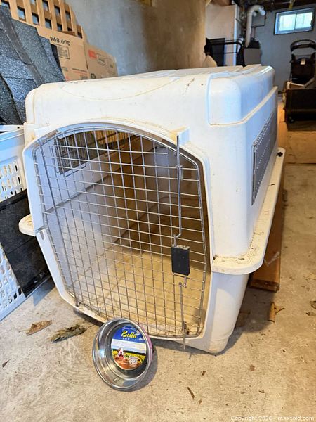 Extra-Large Off-White Petmate Plastic Pet Crate | Maxsold